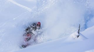 The Fourth Phase: Tree runs – Travis Rice *action clip*