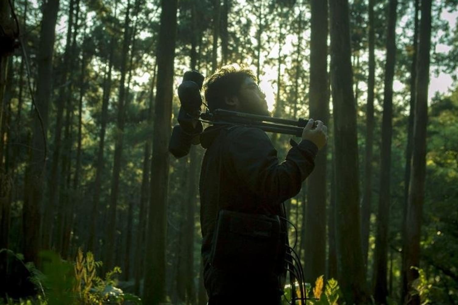 Watch Yosi Horikawa documentary Layered Memories