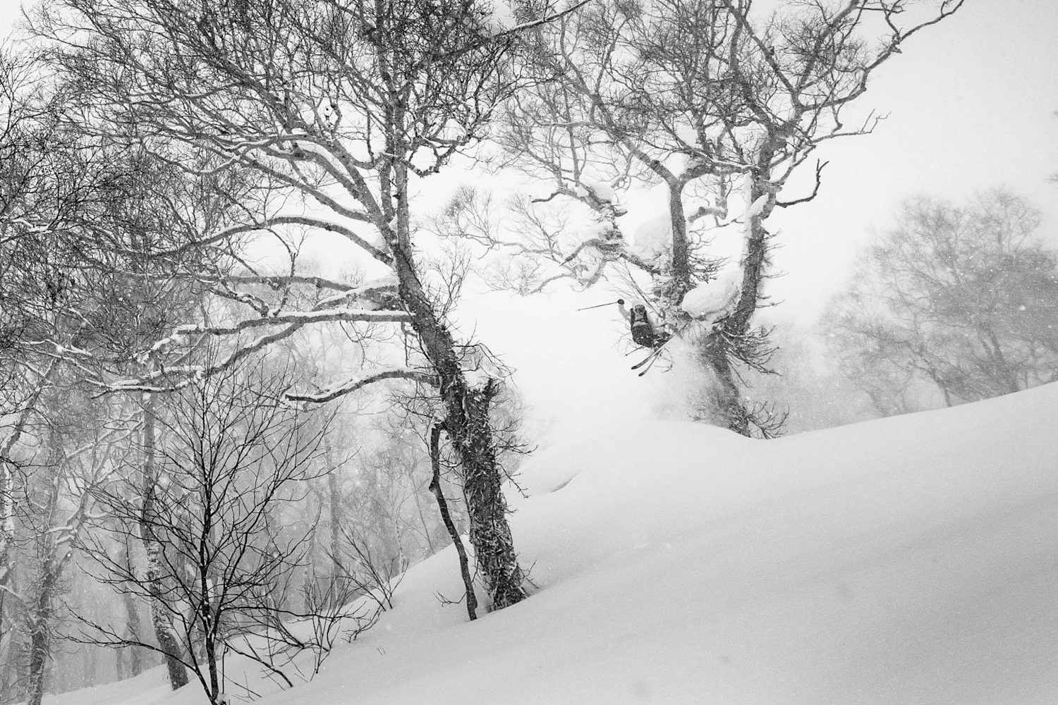 Friendly Rippers : Sean Petit en freeski au Japon