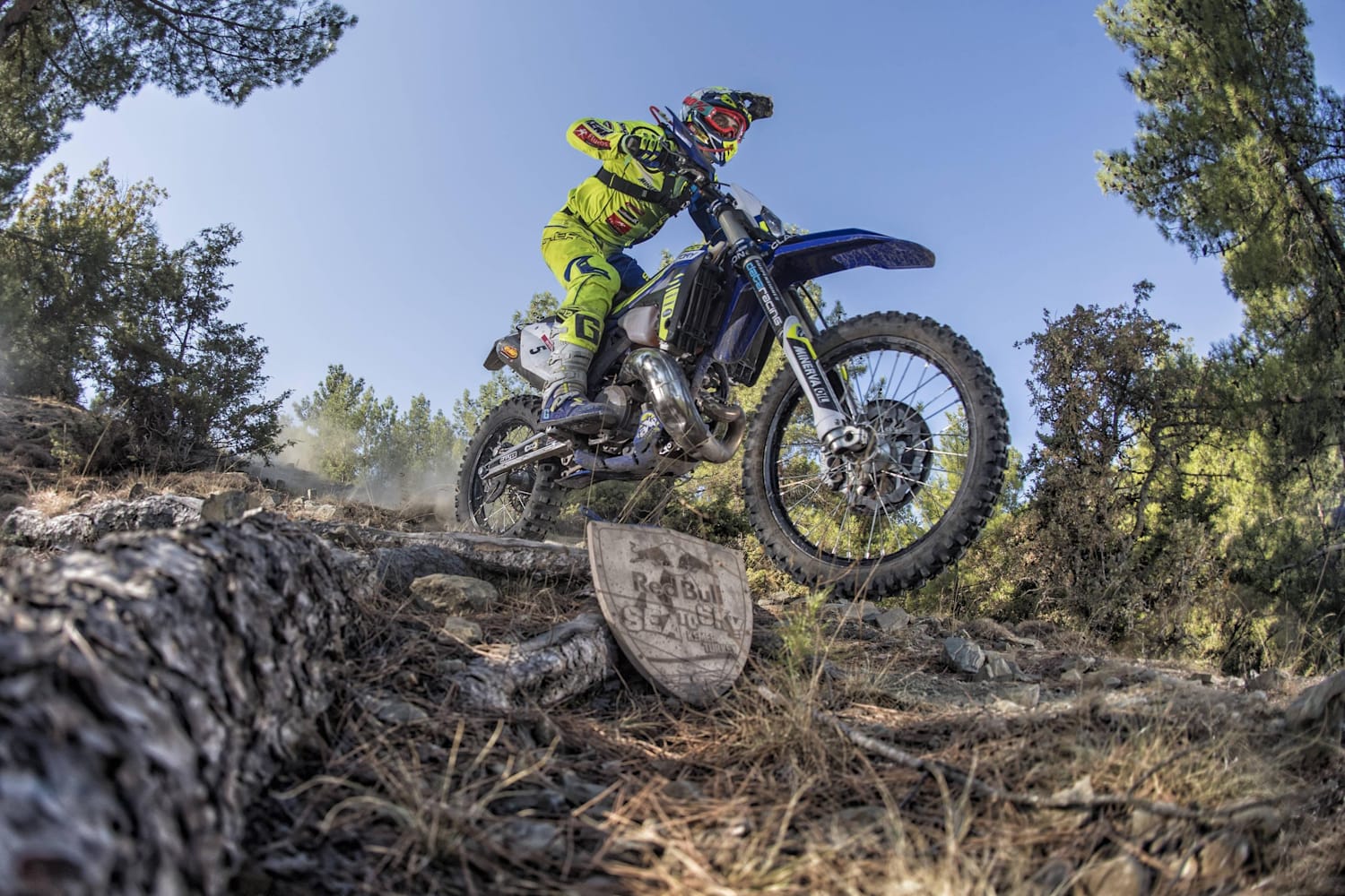 Red Bull Sea to Sky 2017 Forest Race ++video++