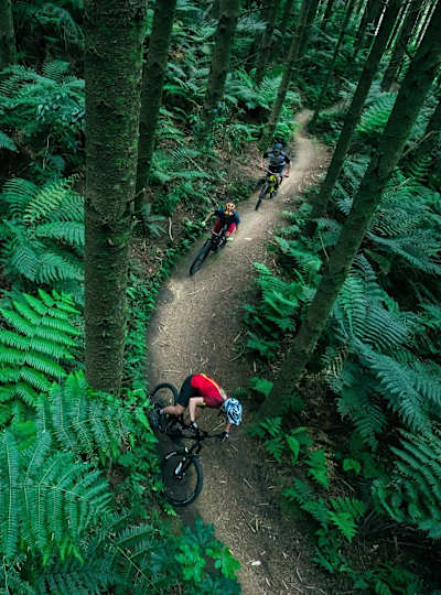 Best MTB trails in Rotorua: The top 5 you need to ride