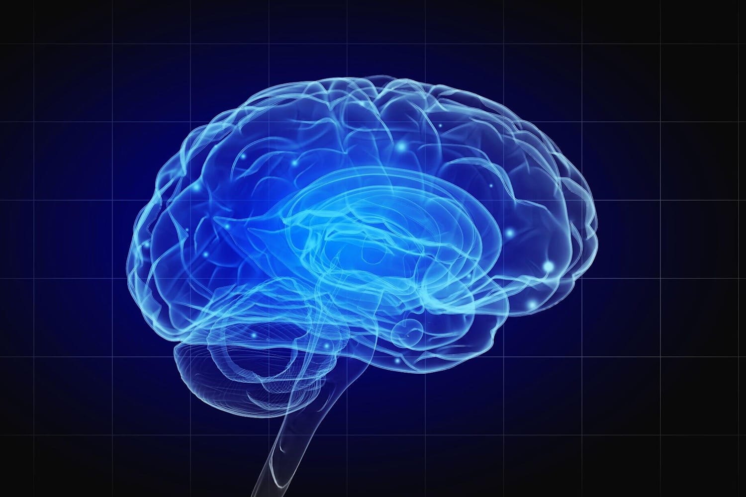 Nectome: The start-up preserving brains in the cloud