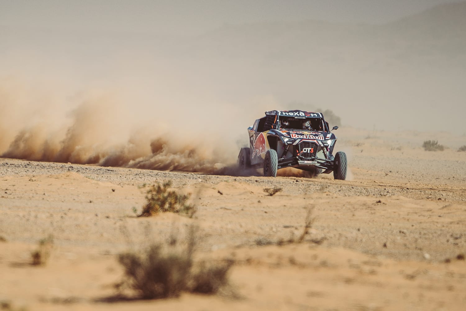 Fin du Dakar 2020 pour Cyril Despres & Mike Horn: Récit