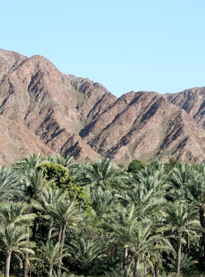 Places to visit in Fujairah: 7 most fantastic sights