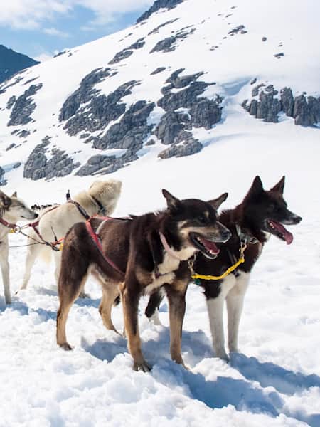 Best European adventure challenges: Top 12 to try