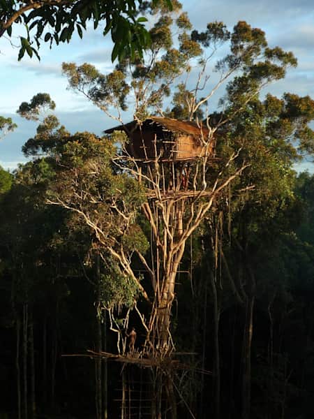 James Aldred, rainforest cameraman – Red Bull Adventure