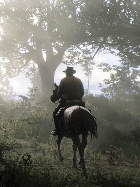 Red Dead Redemption 2 tips & tricks: How to get started
