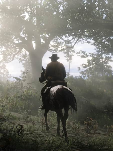 Red Dead Redemption 2 Guide : 5 astuces pour débuter