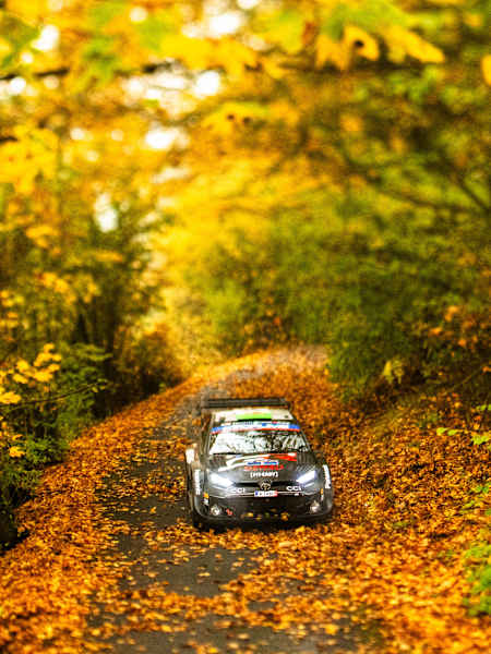 Preview: Central European Rally 2025