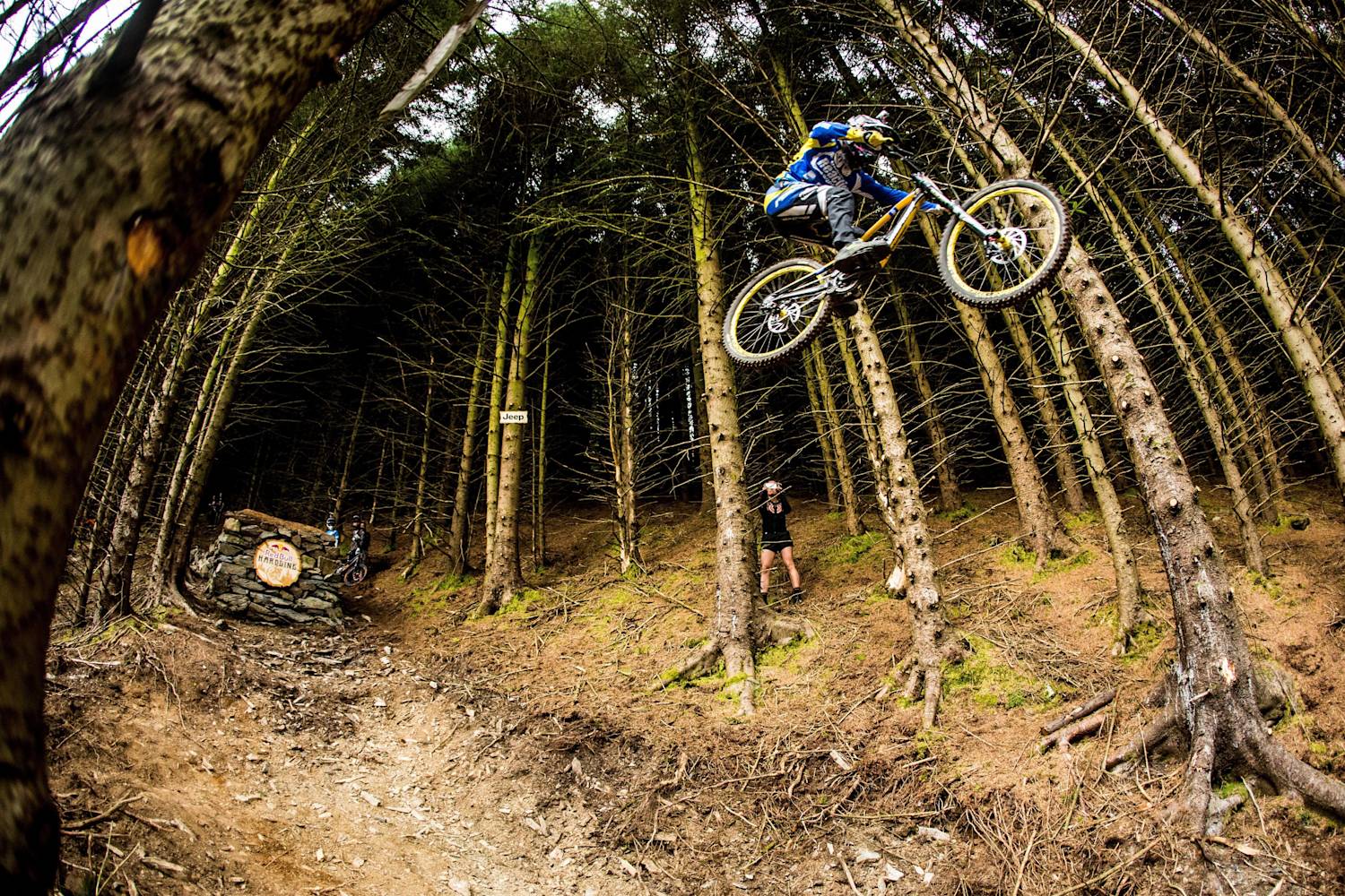 Red Bull Hardline 2016 MTB DH | Where to watch guide
