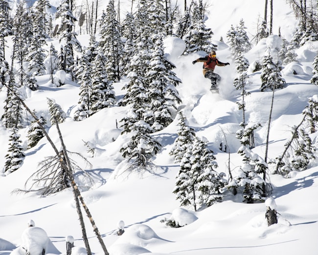 Travis Rice créé le Natural Selection Tour ! Snowboard