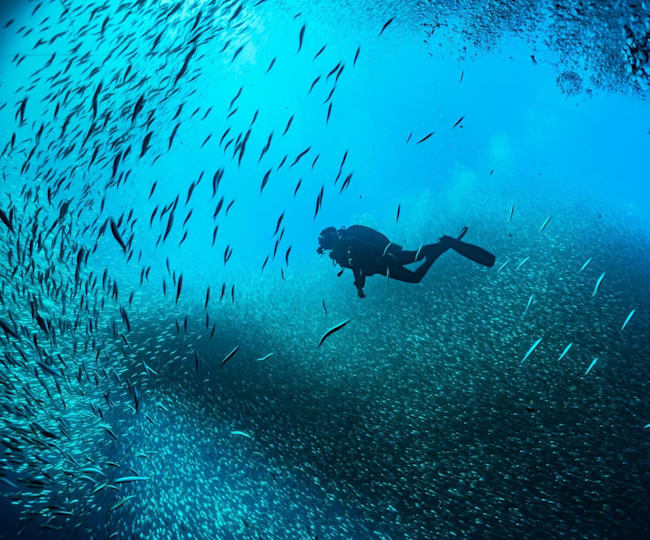 Scuba diving: 11 tips that will make you a pro