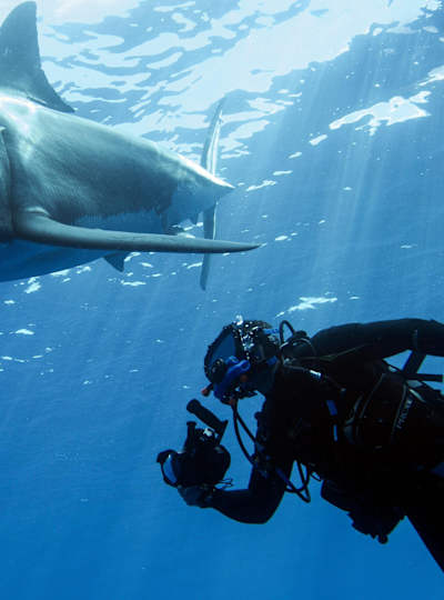 Shark Week Craziest Stories