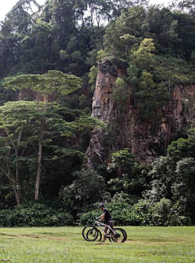 Bukit Timah Nature Reserve: Mountain-bike trail guide