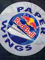 Final Red Bull Paper Wings 2015