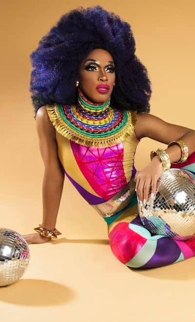 The Vixen