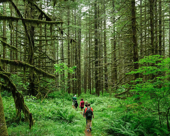 Hiking tips for beginners: 7 things you have to know