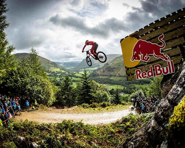 Take the new career finder test | Red Bull Wingfinder