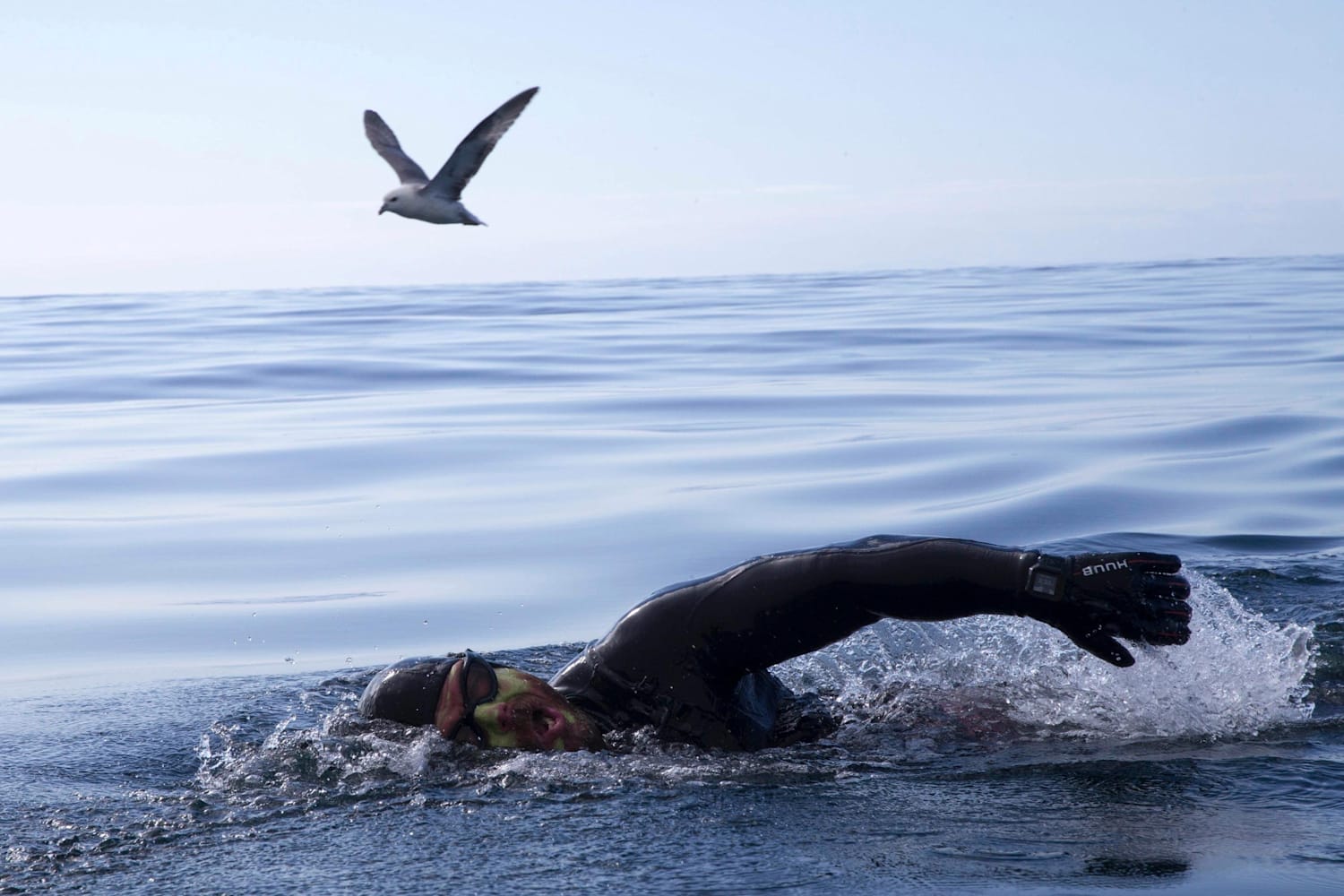 Le tour de Grande-Bretagne à la nage de Ross Edgley