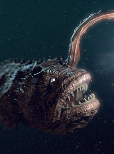 Tiefste Stellen im Meer: 5 Punkte, die du kennen musst