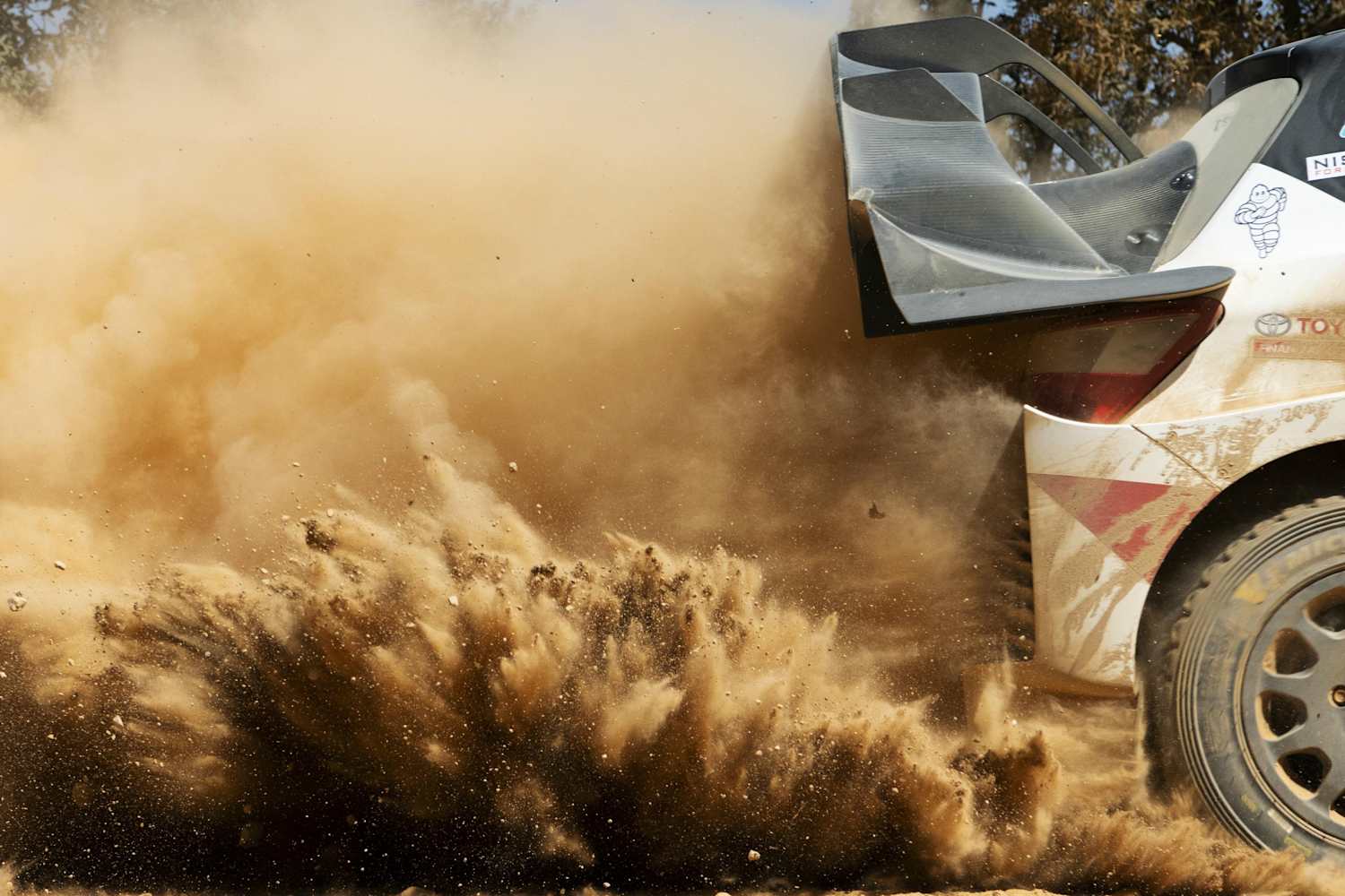 Estas são as imagens mais incríveis do Mundial de Rali