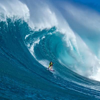 TUDOR Jaws Big Wave Challenge : direct, infos, vidéos…