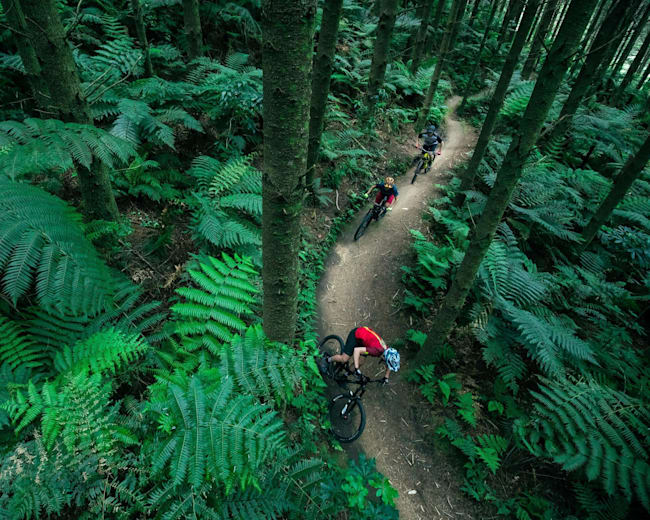 5 epic secret mountain bike trails – Rotorua | Red Bull