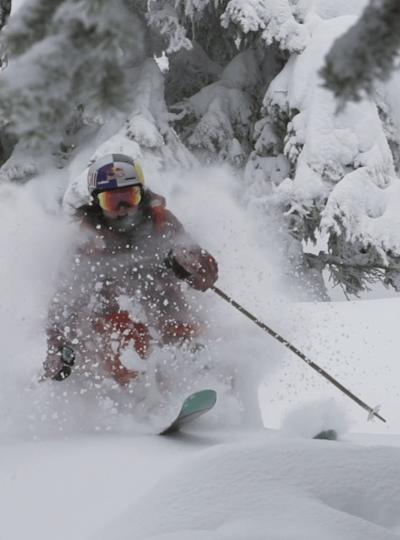 Le season edit alléchant de Tatum Monod
