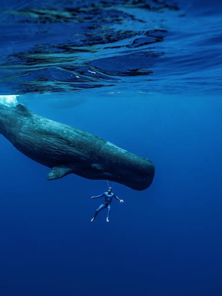 One Breath Around The World underwater photograpy