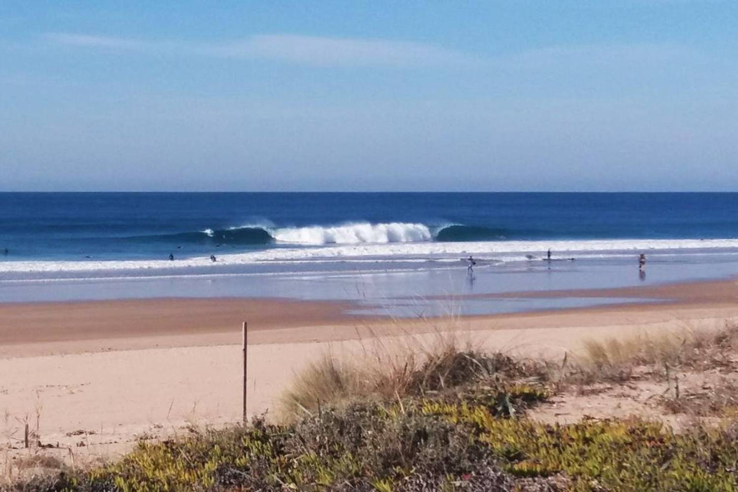 Spot check: El Palmar