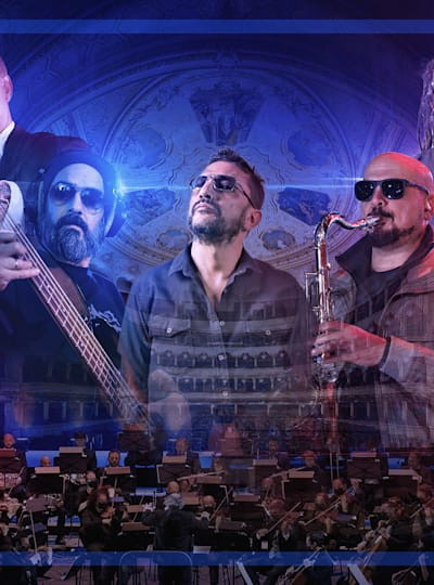 What is Red Bull Symphonic?