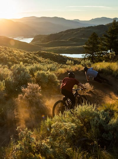 Le migliori MTB da trail biking del 2021