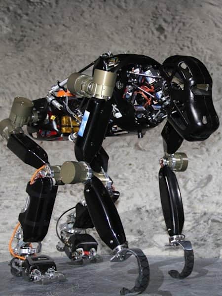 Biorrobots, una herramienta a favor de la biodiversidad