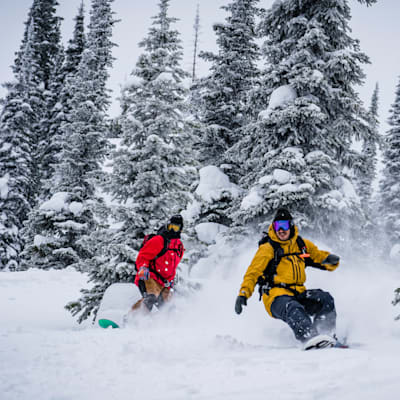 TAE Natural Selection at Baldface