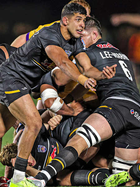 Newcastle Red Bulls 19 Northampton Saints 36