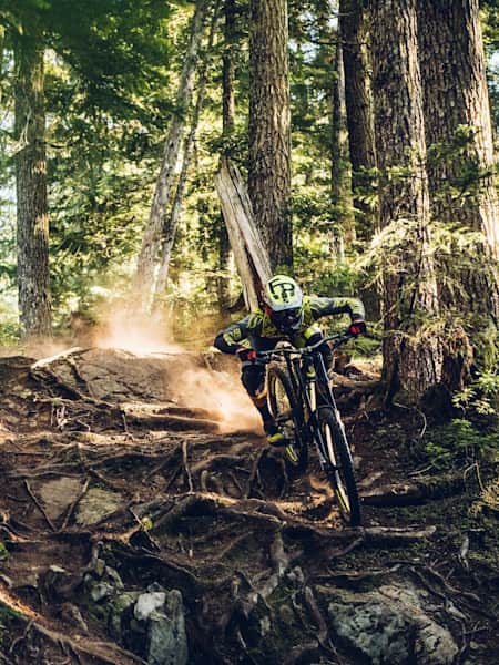 How to ride roots: 5 top tips for mountain bikers