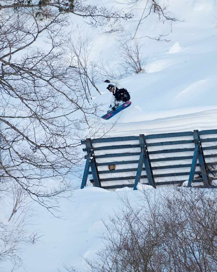 natural selection 2024