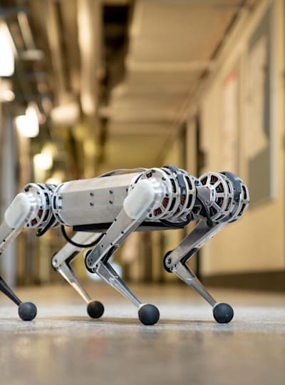 Innovative robots inspired by animals | Red Bull Tech