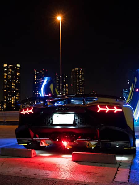 NIHON NIGHTS | Fighting Star