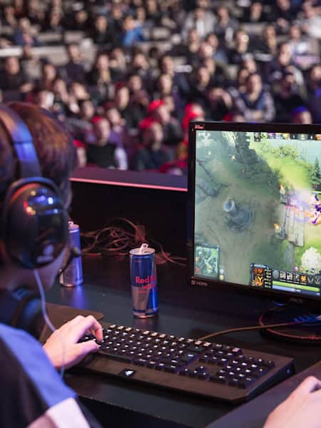 Red Bull Son Şampiyon Team Entelechy Röportajı