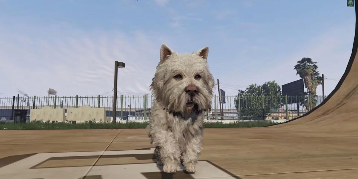 Gta 5 Pitbull Clough ClouChop The Dog GTA V The Rottweiler Dogds