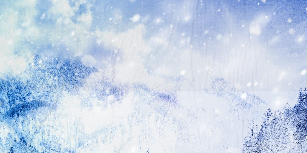Red Bull Winter Vibes