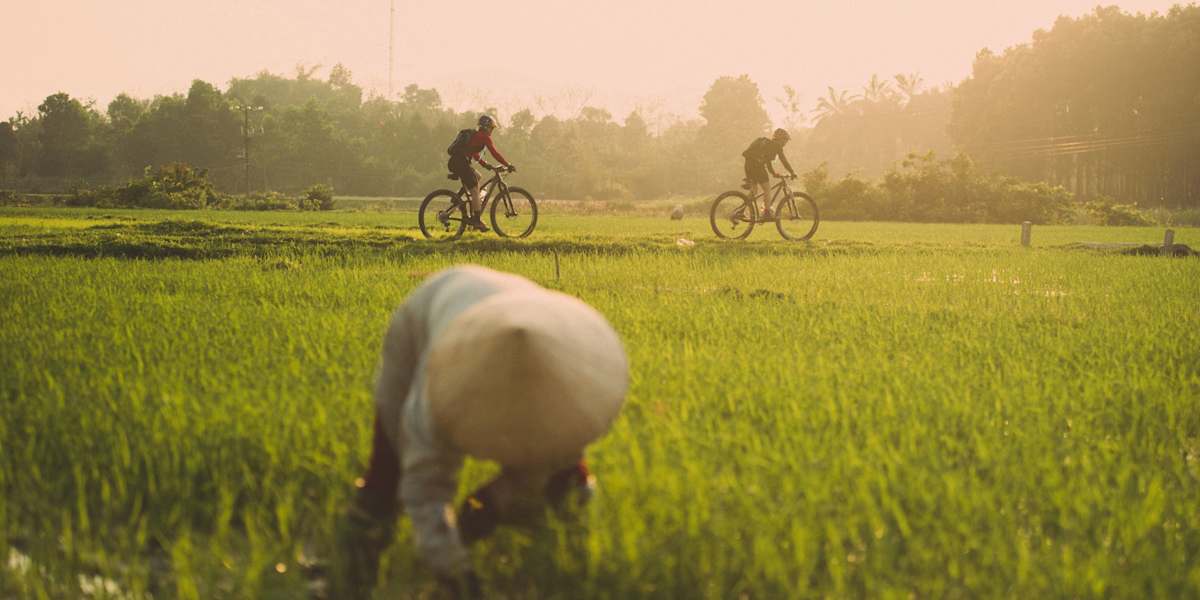 Blood Road: La Película