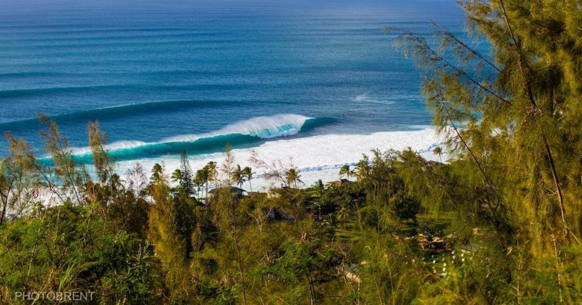 How to Read Waves: A Guide to Learning to Surf