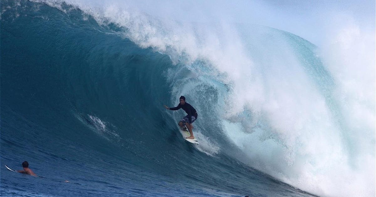 The Hidden Talents of Ian Walsh