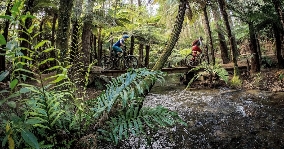 Rotorua MTB trail guide: Here's all you need to know