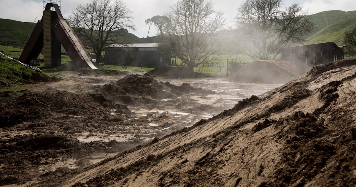 The story of Jed Mildon's Dirt Dogs build