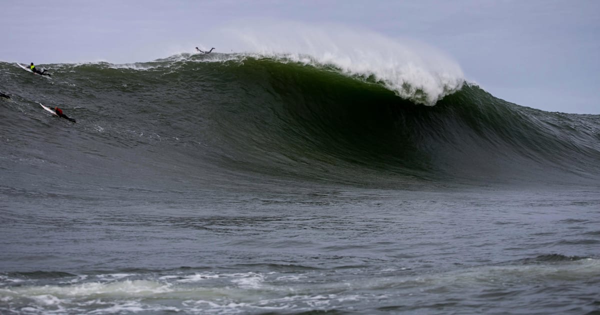 This and Nothing Else: Tyler Fox