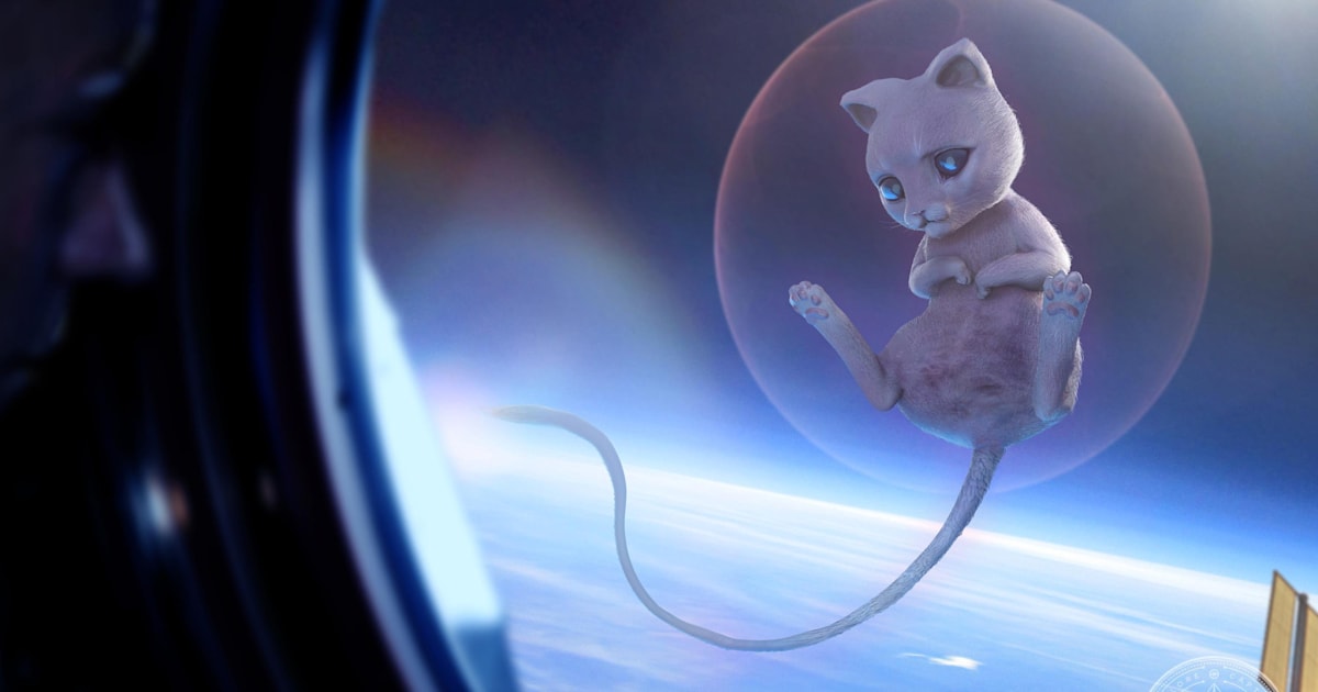 mewtwo spore