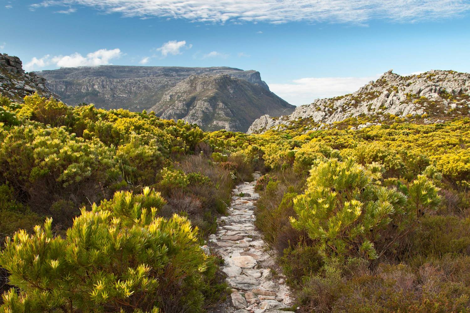 Best South African hiking trails
